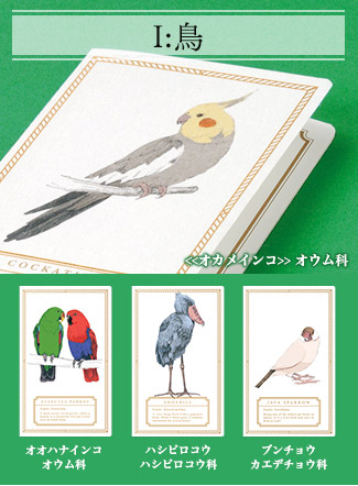 カードラボ｜ミドリオンラインストア